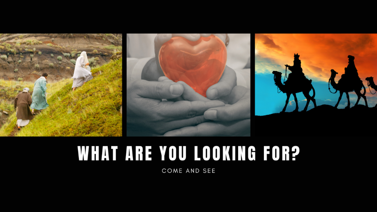 An Invitation to the Heart, to Connection: Come and See – Epiphany ...
